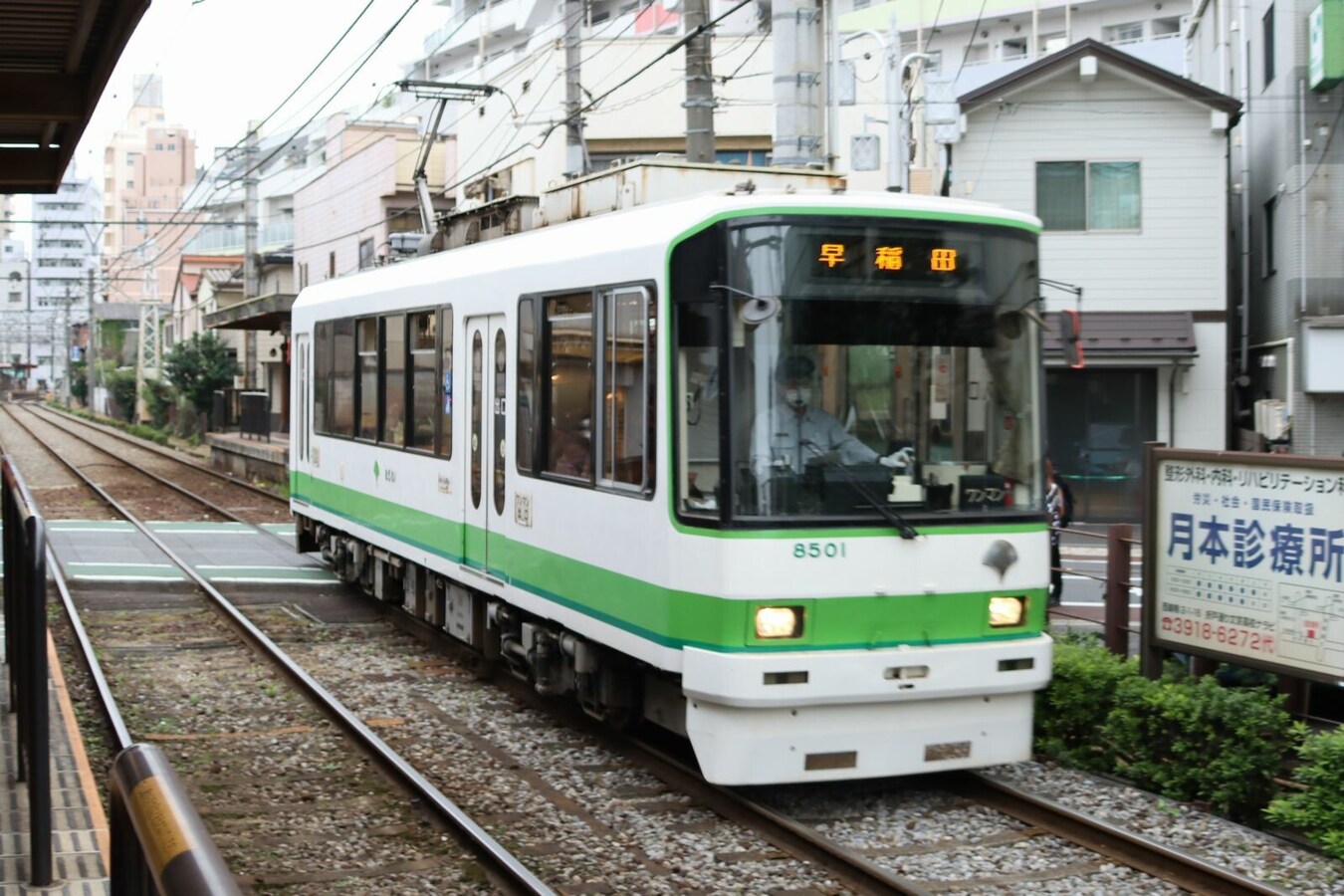都電荒川線のトリビア10選バラが咲き乱れる沿線道路を走る区間都電もなか 鉄道 All About