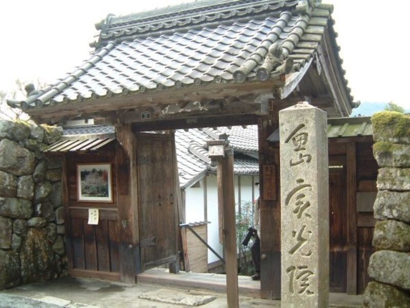 秋から春に咲く大原実光院の不断桜京都 名所旧跡 All About