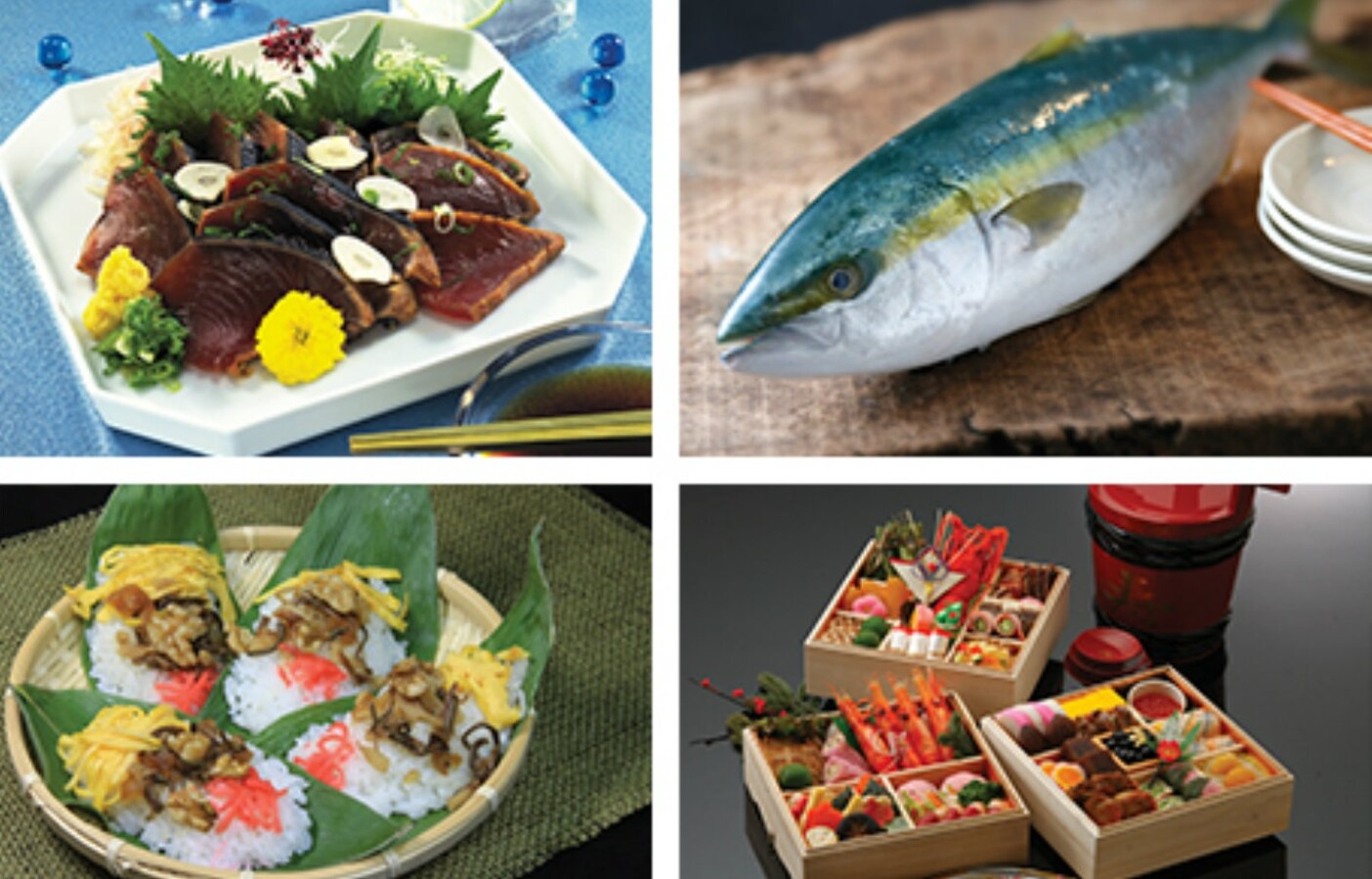 7 Fishy Things About Japanese Fish | All About Japan