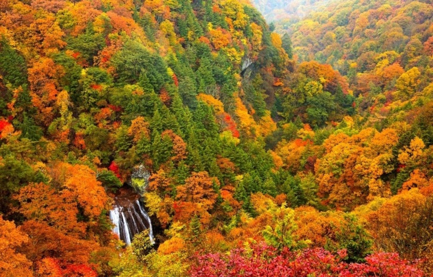 The Top 5 Fall Color Spots in Koshinetsu | All About Japan