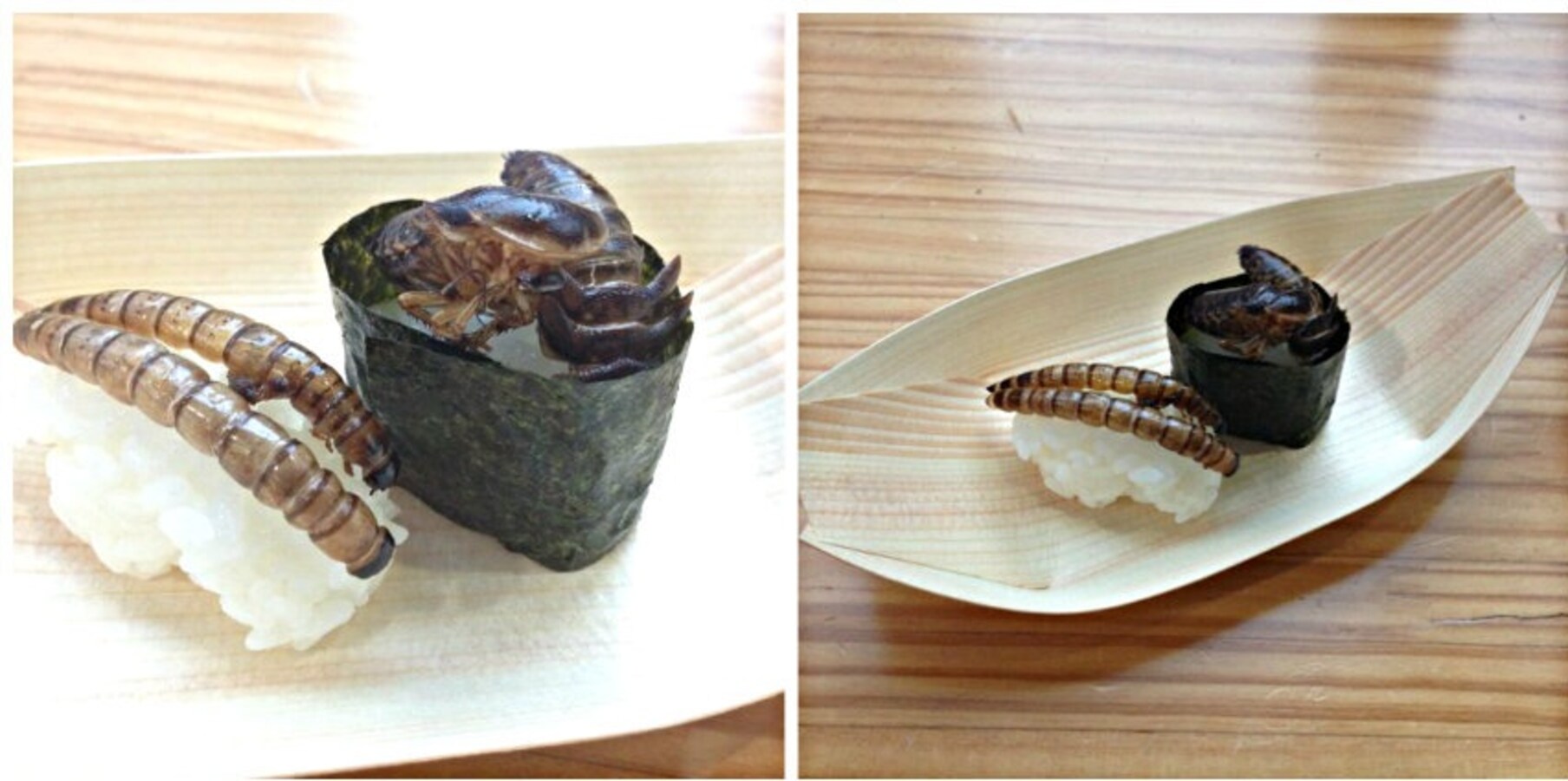 Could You Eat Bug Sushi? | All About Japan