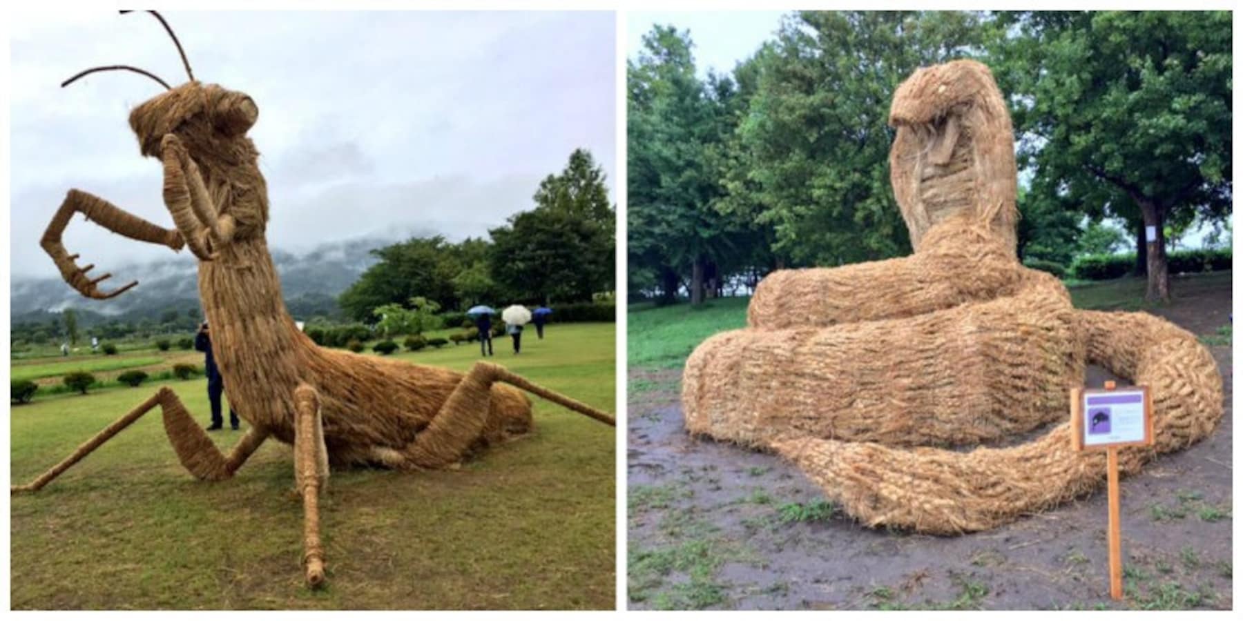 No Wolf Can Blow these Straw Monsters Down! | All About Japan