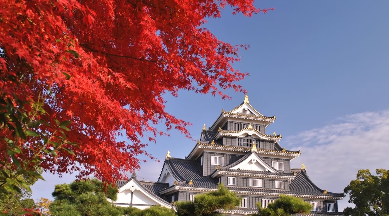 5 Must-See Castles in Autumn | All About Japan