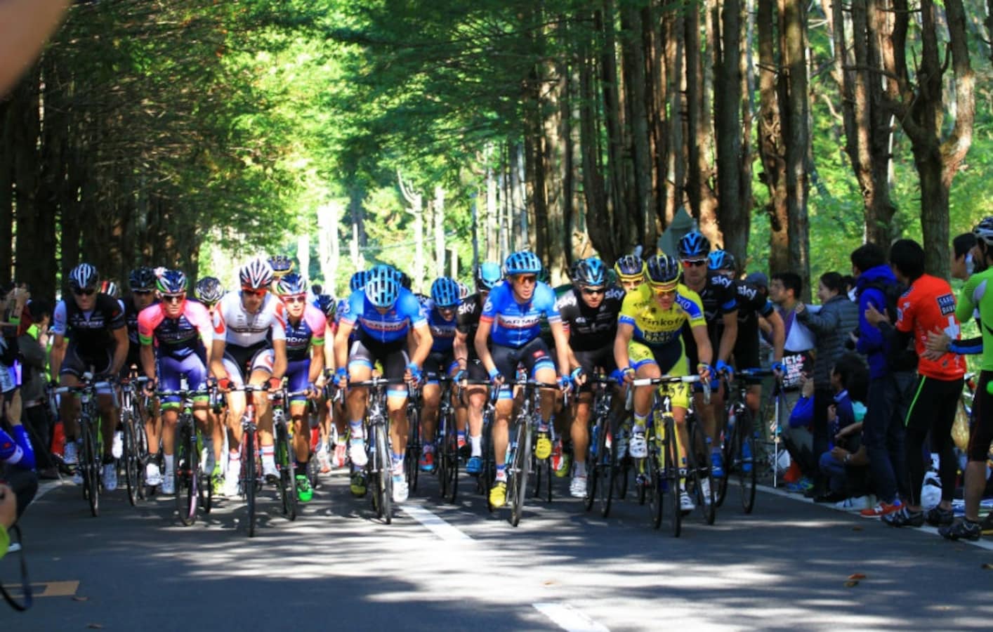 11 Lesser-Known Sporting Competitions in Japan | All About Japan