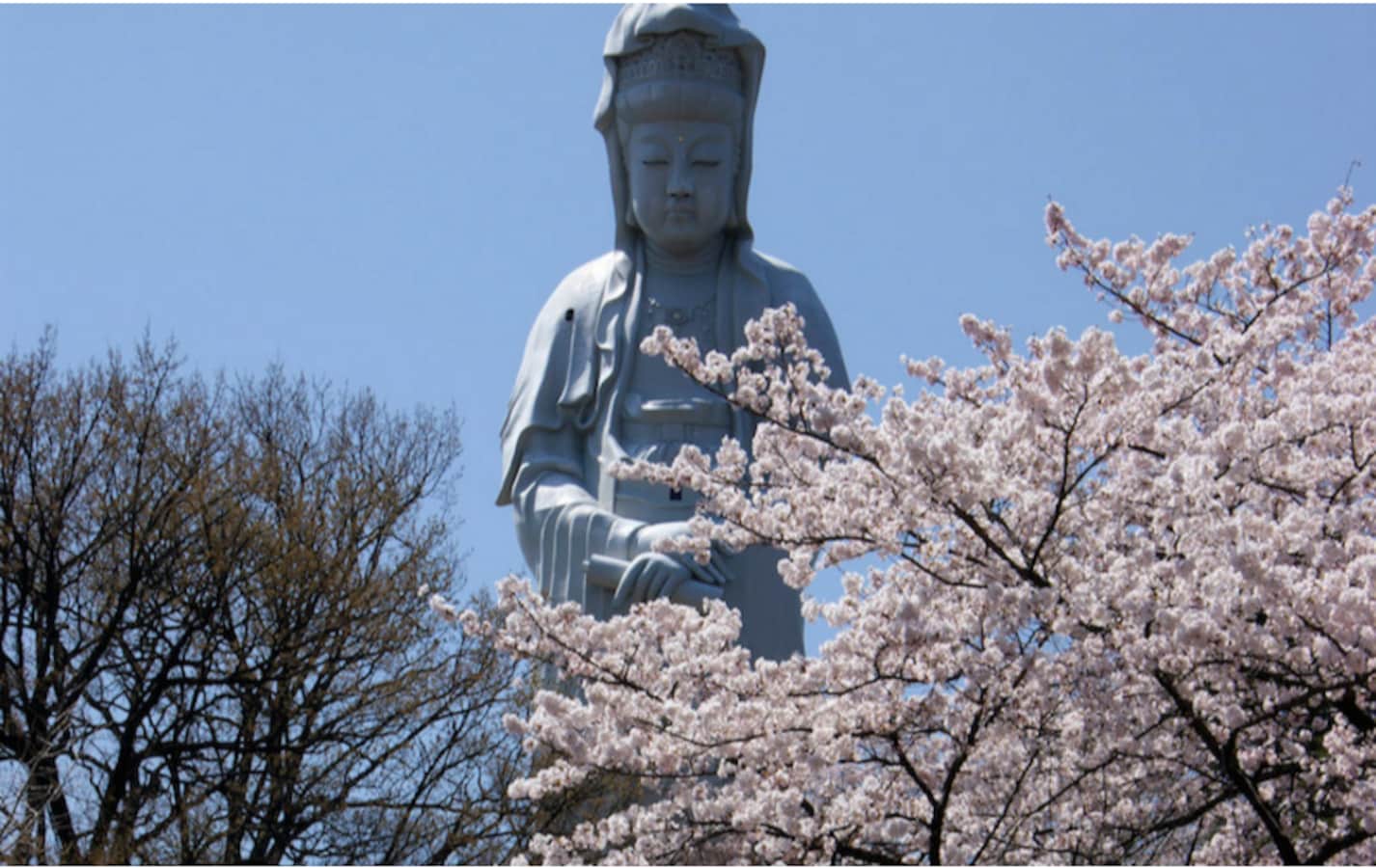 Experience the Wonder of Takasaki | All About Japan