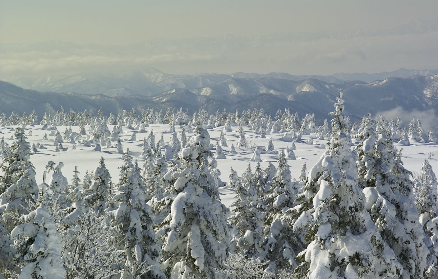 The 6 Greatest Snowscapes in Tohoku | All About Japan
