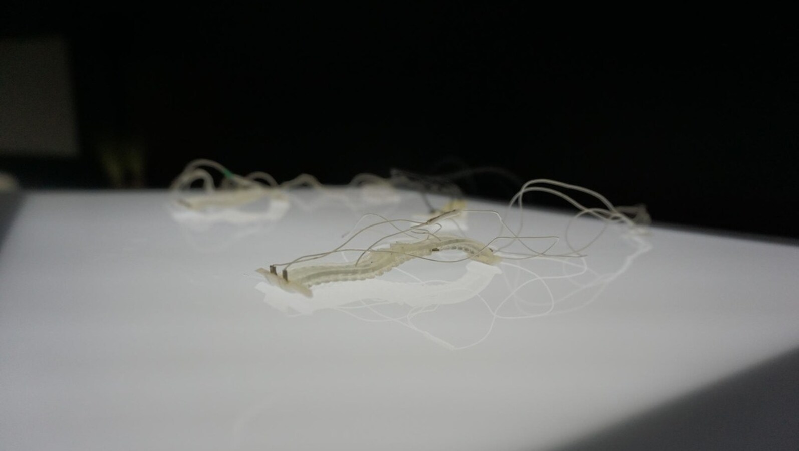 Robotics Inspired by 'Ghost in the Shell' | All About Japan