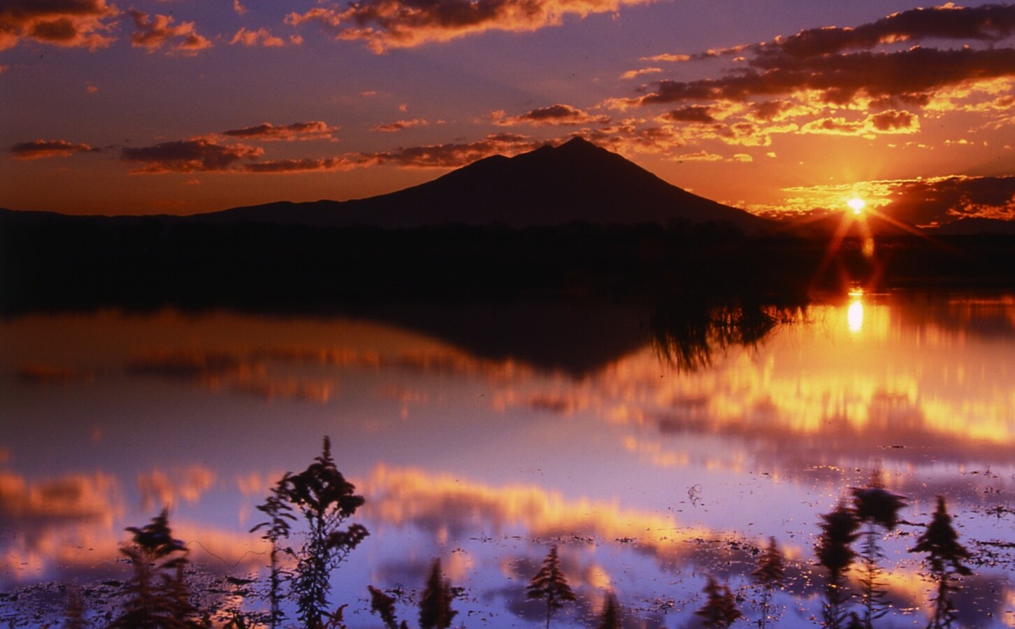 12 Things to Do in Ibaraki in Summer | All About Japan