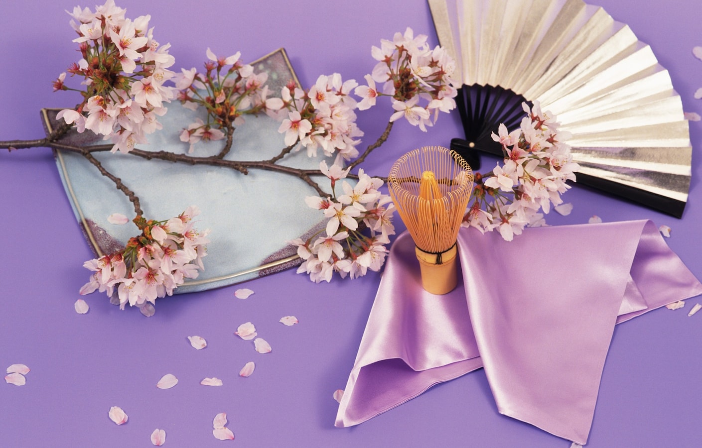 'Hanami' Manners Matter | All About Japan