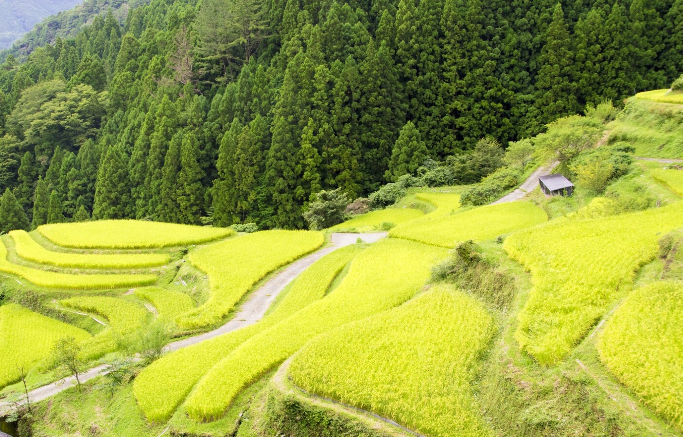 The 3 Most Beautiful Villages in Shikoku | All About Japan