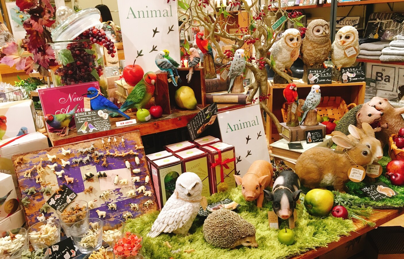 พาไป Lifestyle Shop น่าช็อปที่สาวๆไม่ควรพลาด | All About Japan