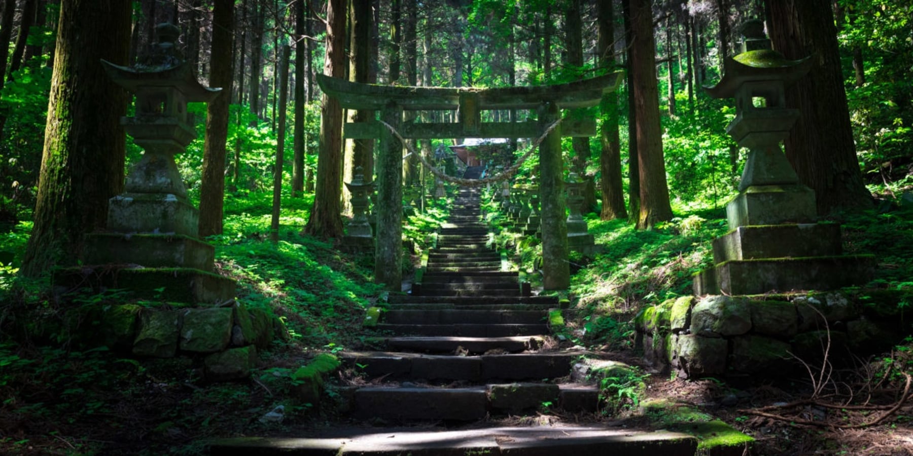 Offbeat Japan: Water & Greenery in Kumamoto | All About Japan