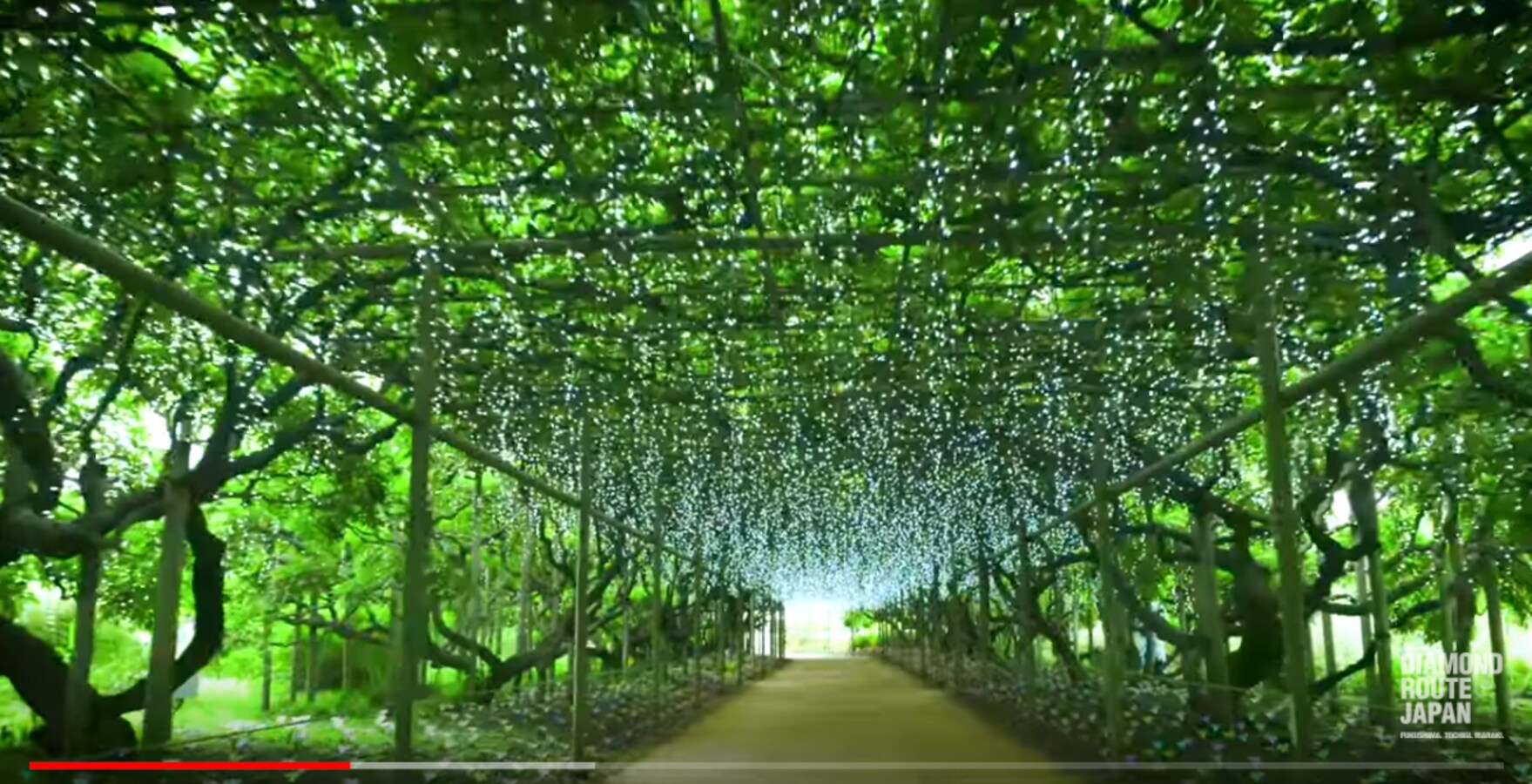 Diamond Route Japan Shows Off Hidden Treasures | All About Japan