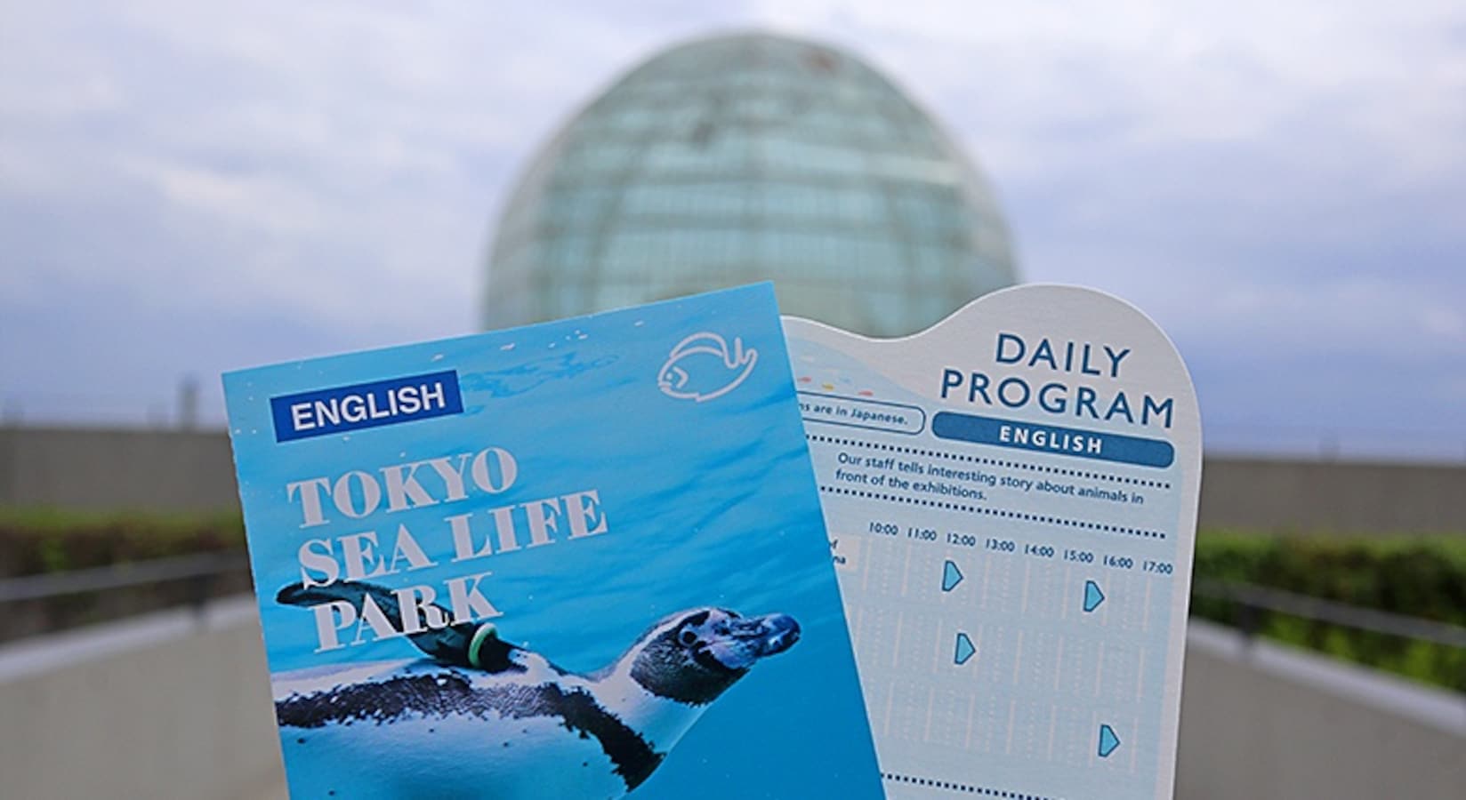 Tokyo Sea Life Park | All About Japan