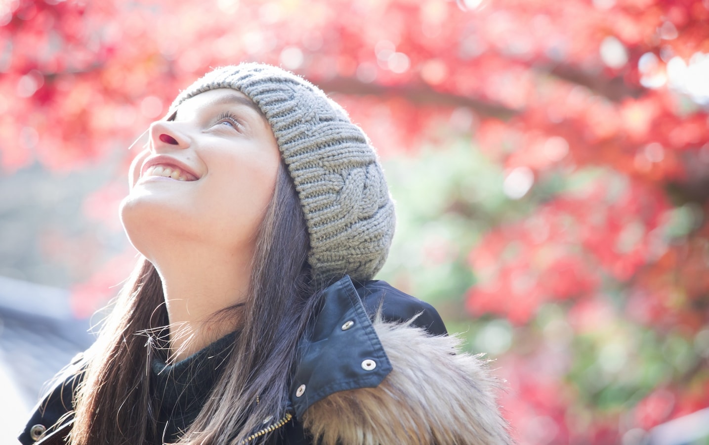 4 Fall Color Day Trips from Tokyo | All About Japan