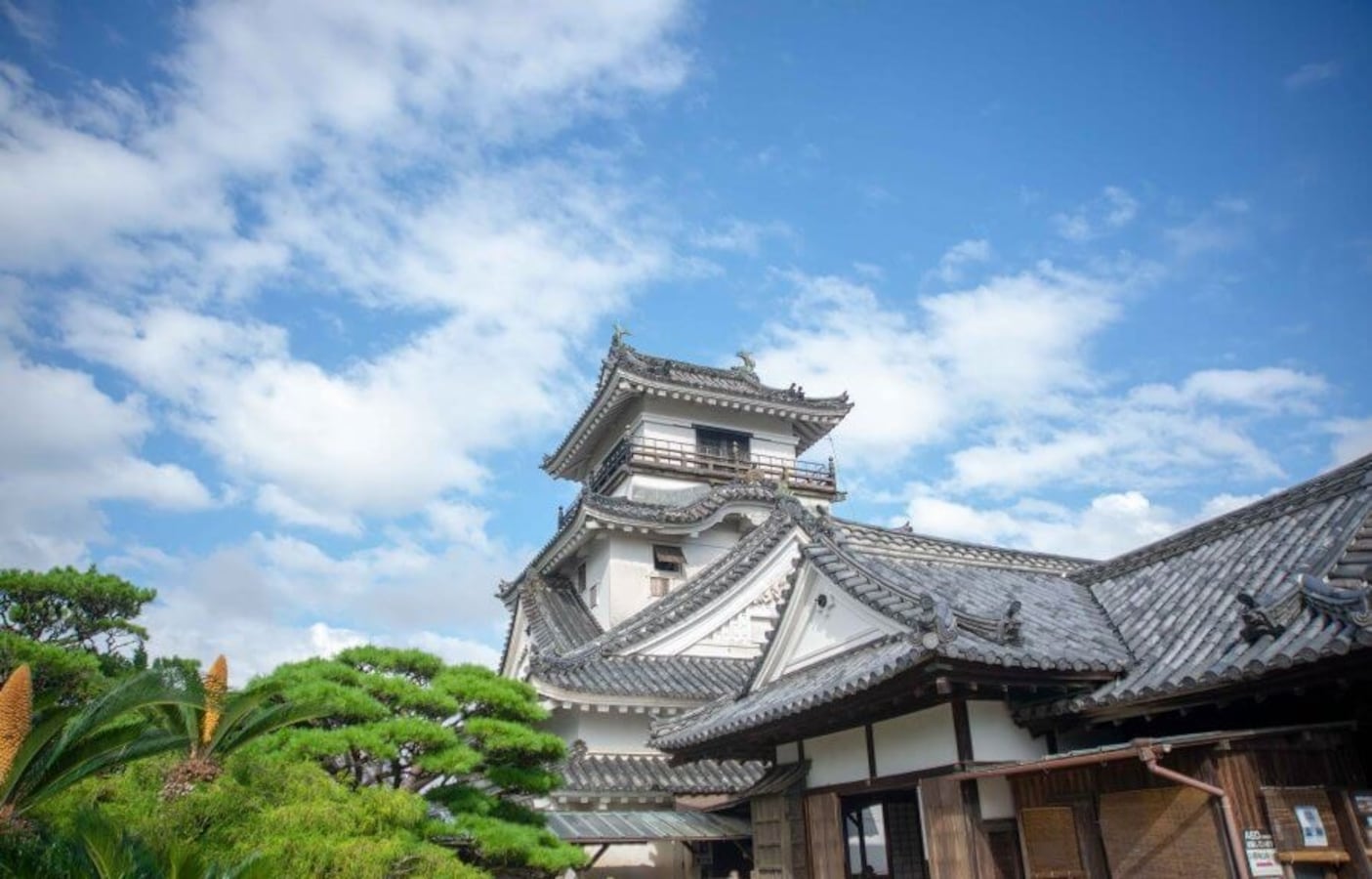 A Backpacker's Guide to Kochi | All About Japan