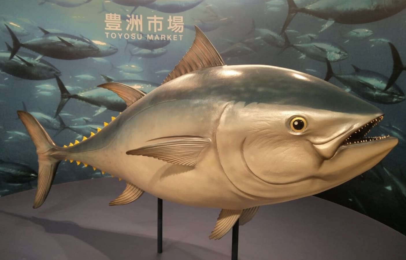 Tokyo's New Seafood Paradise: Toyosu Market | All About Japan