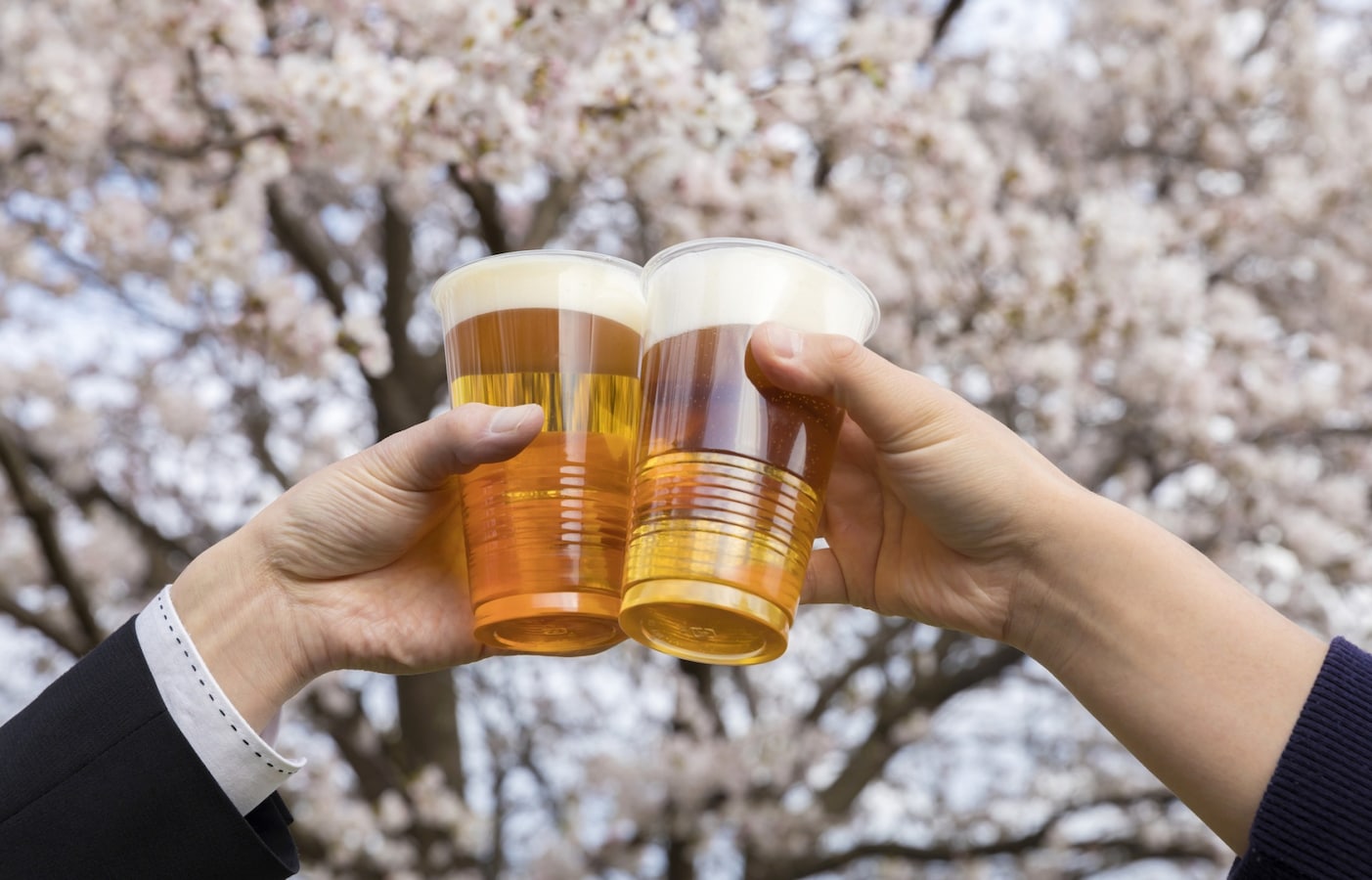 9 Craft Beers Perfect for Spring | All About Japan