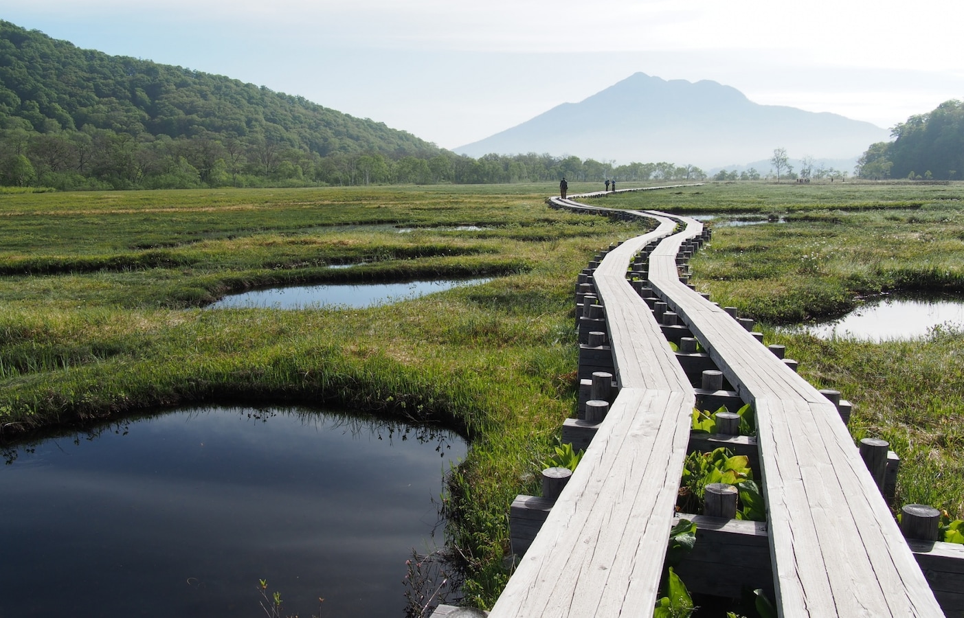 An Ode to Oze National Park | All About Japan