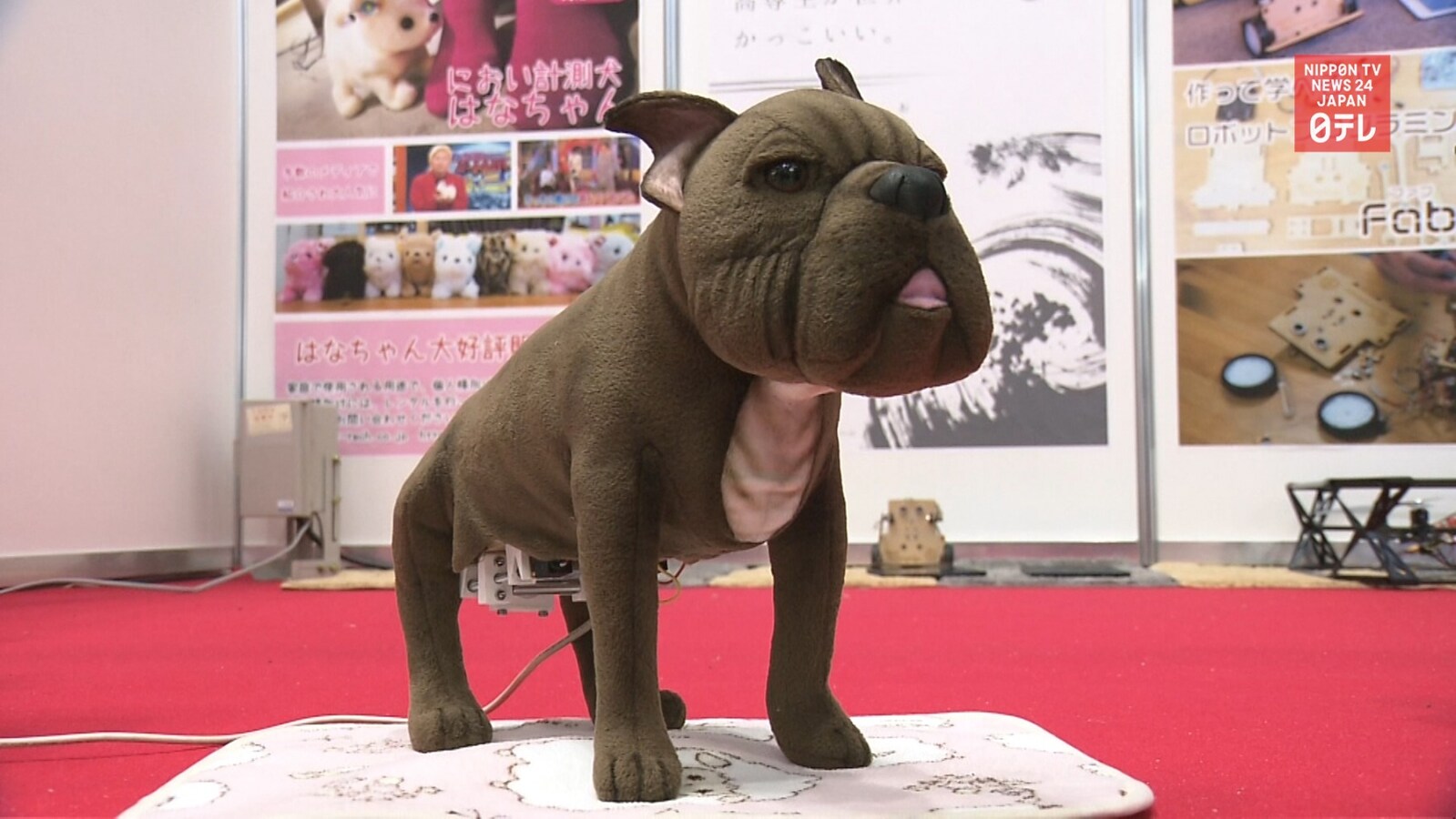 Building the Future: Tokyo's Robot Exhibition | All About Japan