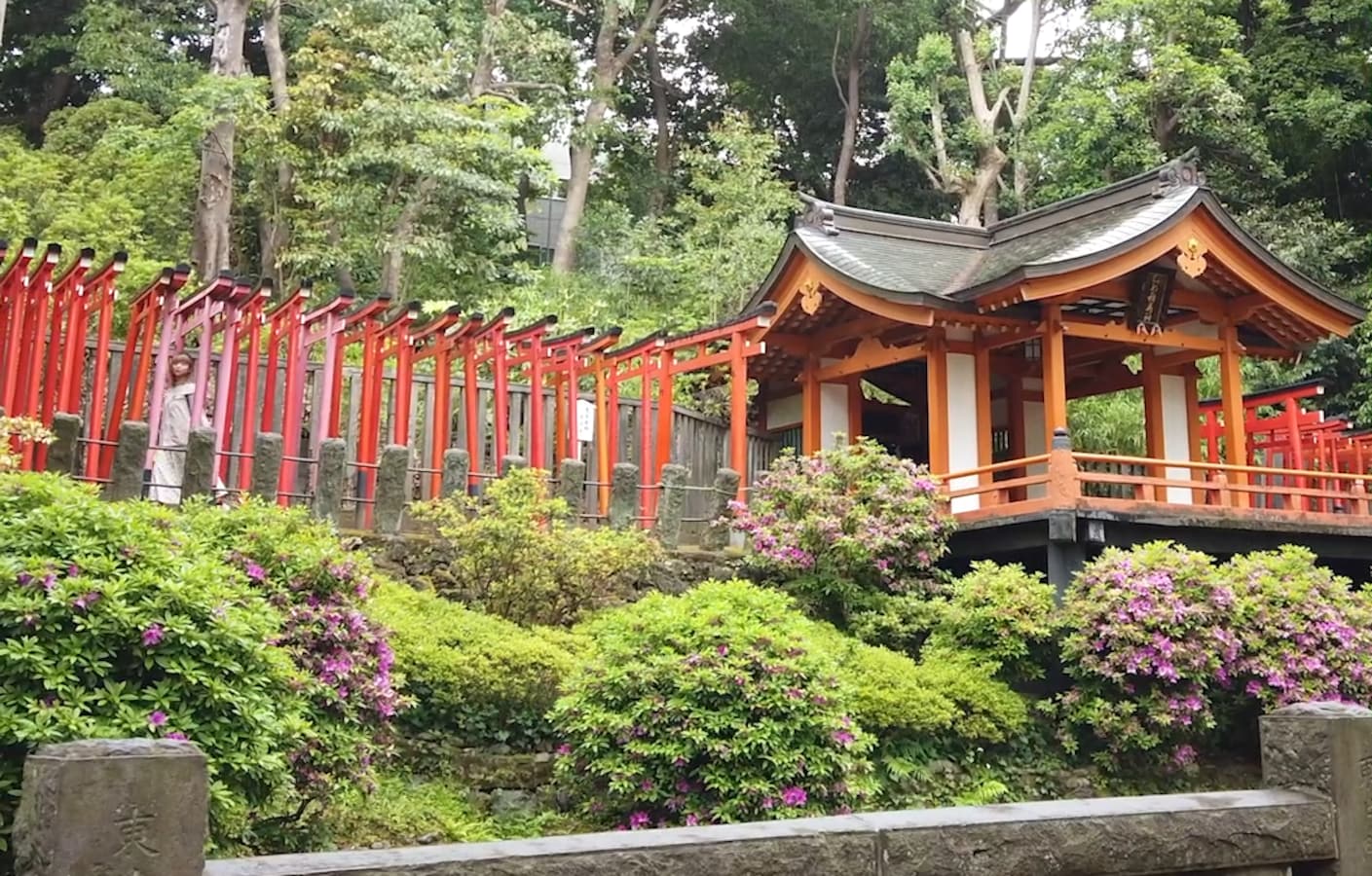 Nezu Shrine: 600 Years of Beauty & History | All About Japan