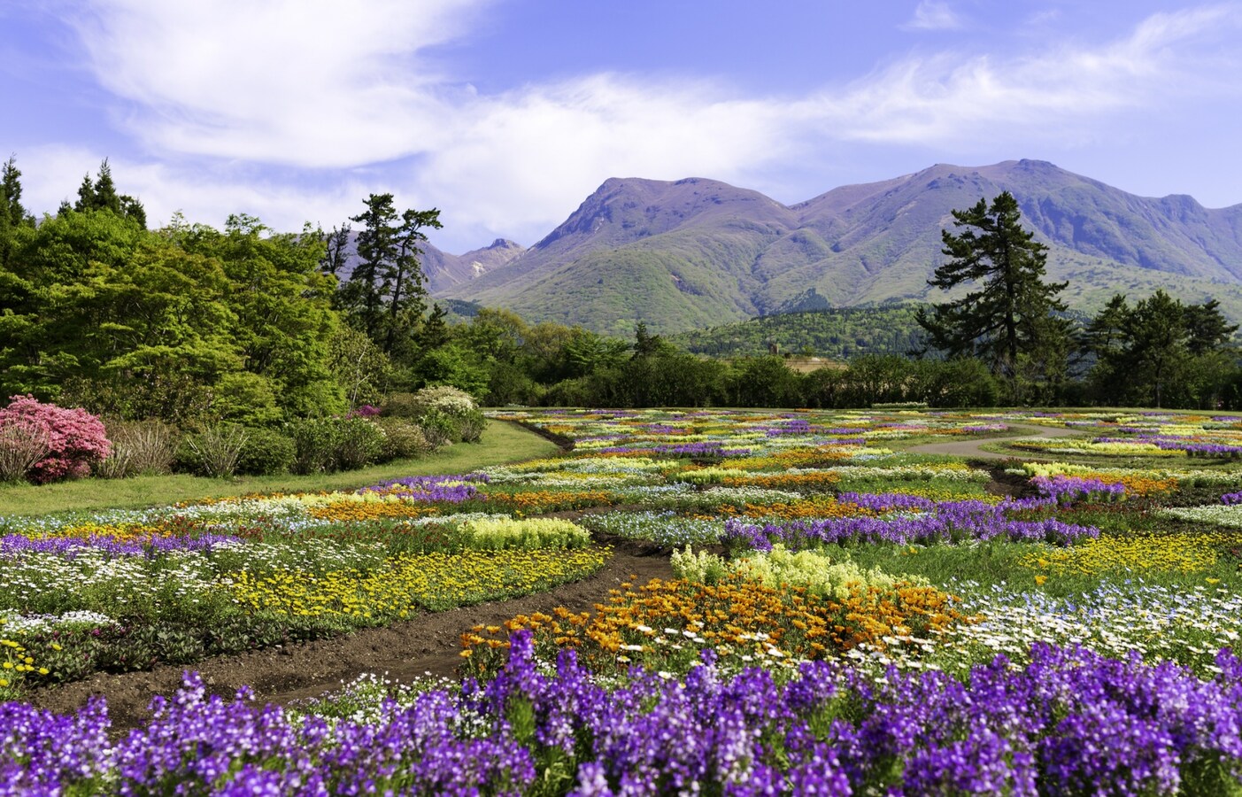 Top 12 Day Trips From Fukuoka | All About Japan