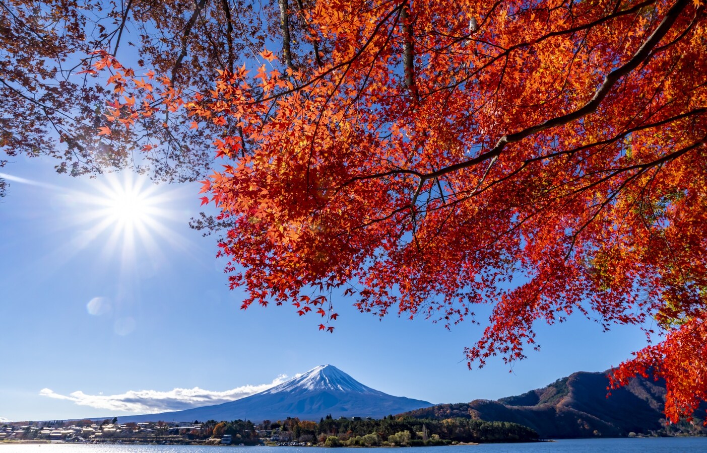 2020 Fall Foliage Forecast | All About Japan