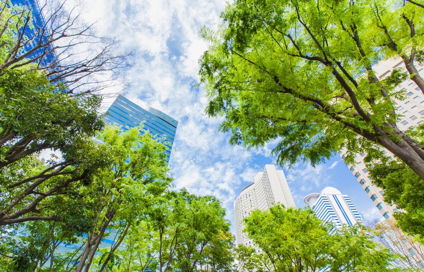 A 10-Year Challenge to Achieve Sustainability | All About Japan