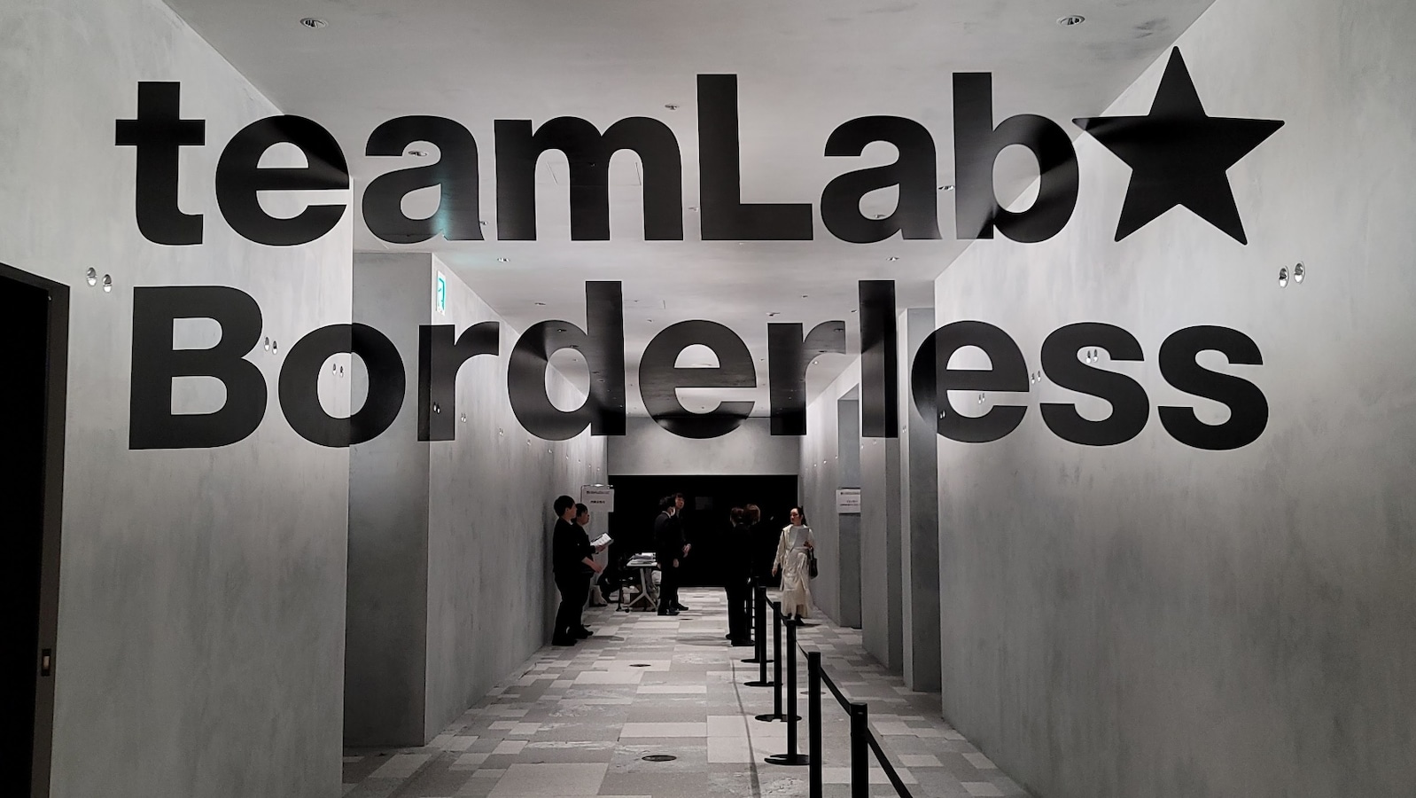 A Guide to the Top Six Rooms at the New teamLab Borderless | All About ...
