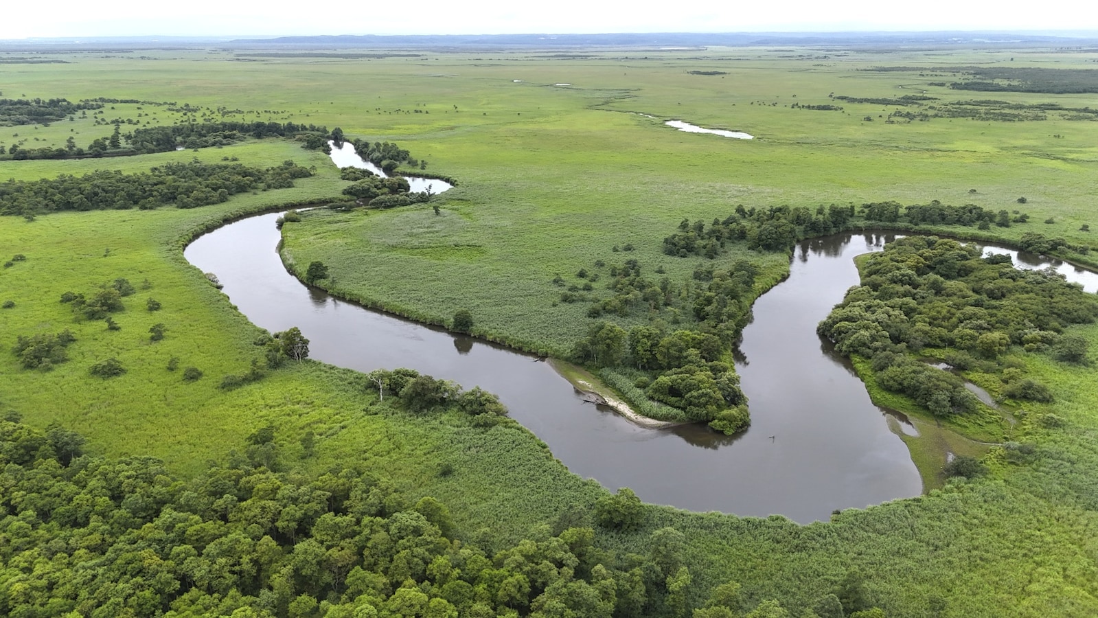 A Great Wetland Wilderness: Exploring Kushiroshitsugen National Park ...
