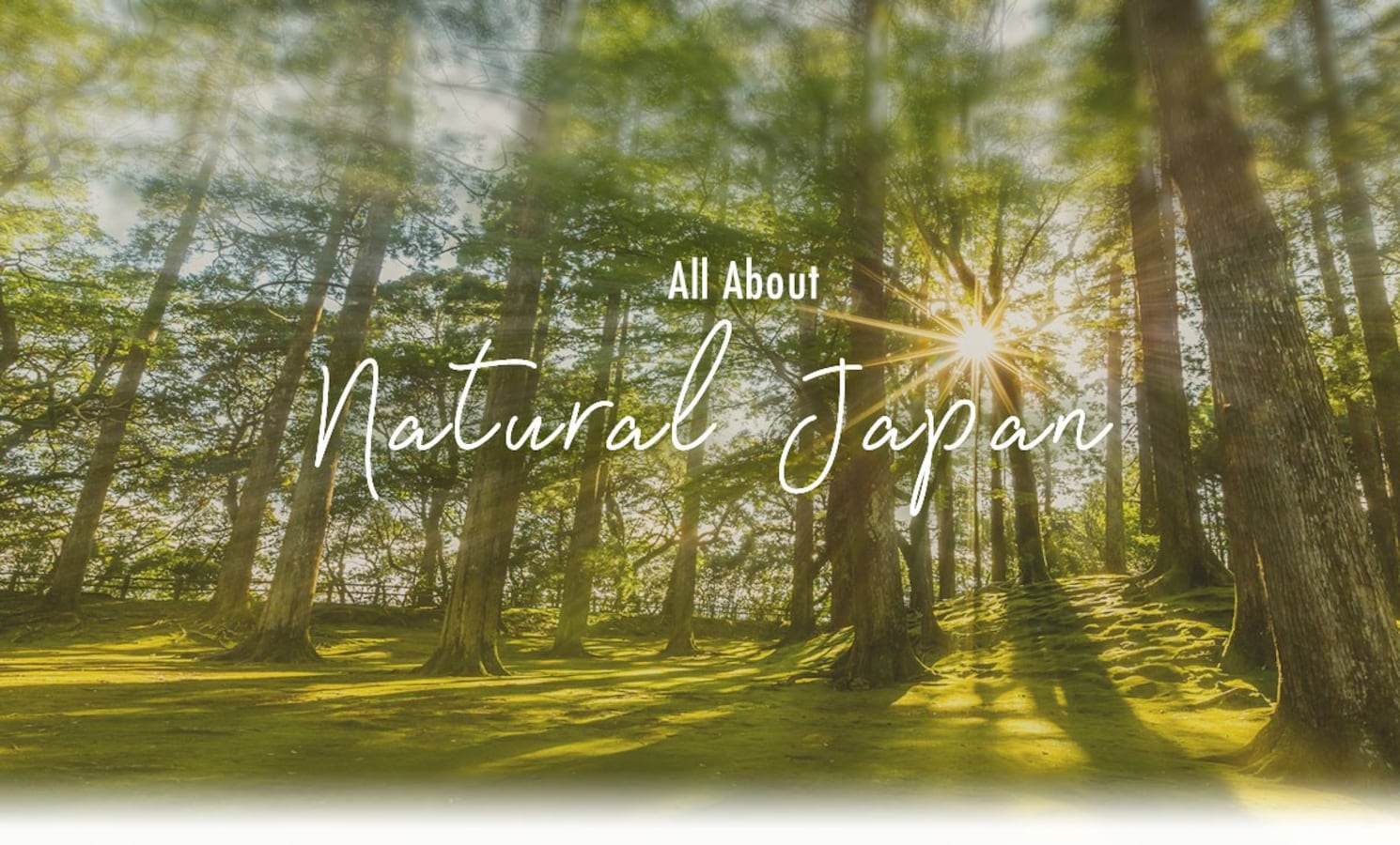 Natural Japan | All About Japan