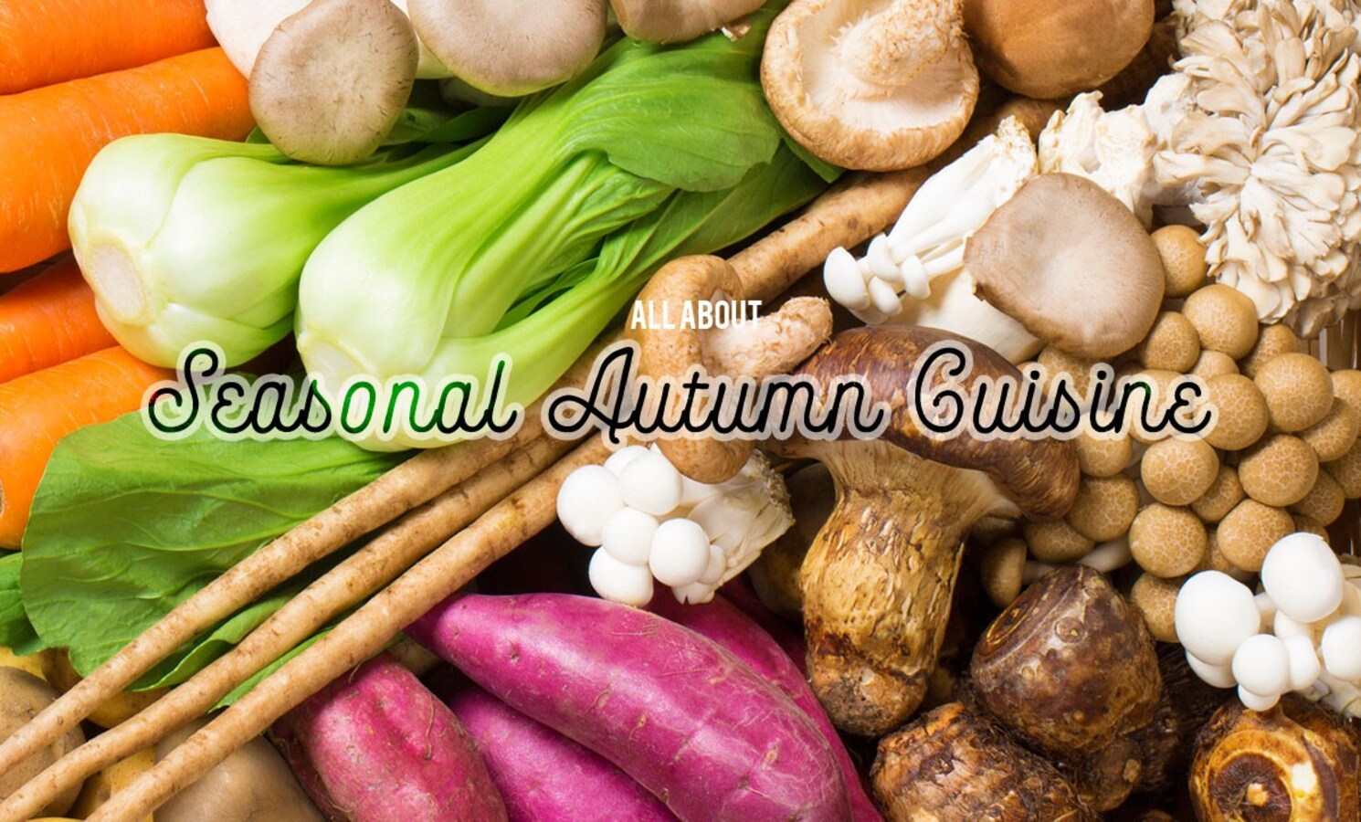 Autumn Cuisine | All About Japan