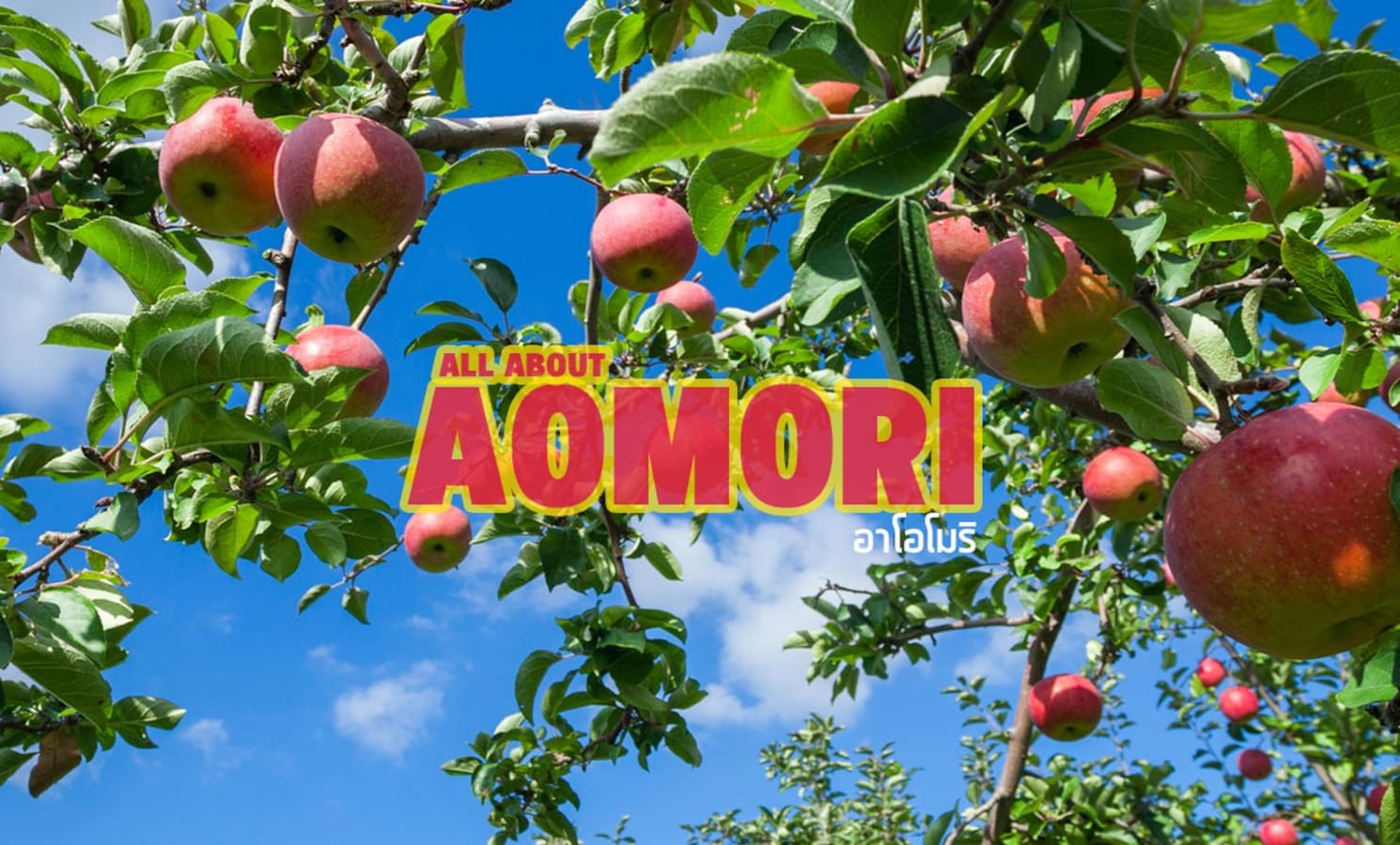 Aomori | All About Japan
