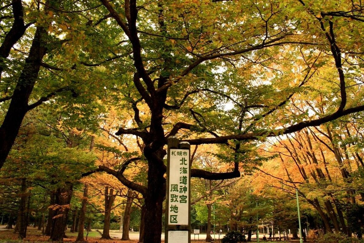 Explore Sapporo’s Fall Color Spots by Subway | All About Japan