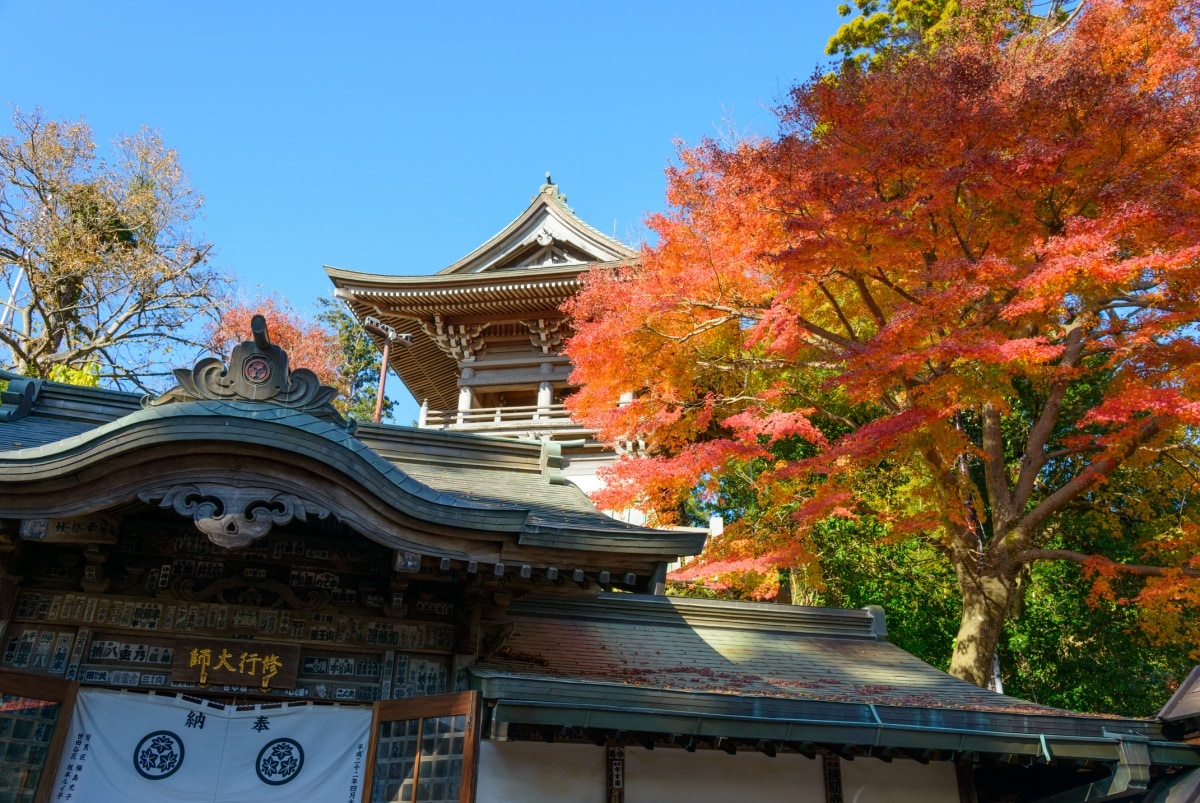 Outer Tokyo's 5 Best Fall Foliage Spots | All About Japan