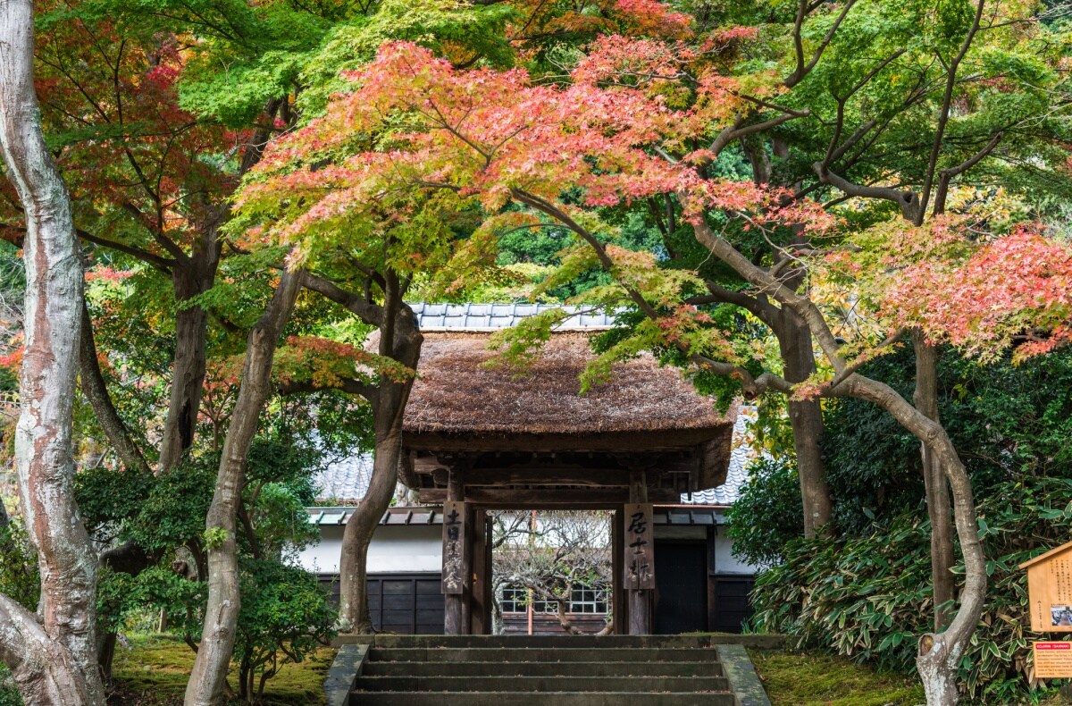 Kamakura’s Top 10 Fall Foliage Spots | All About Japan