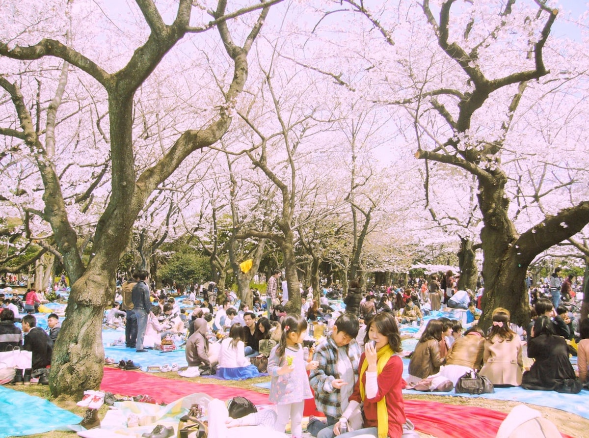 'Hanami' Manners Matter | All About Japan