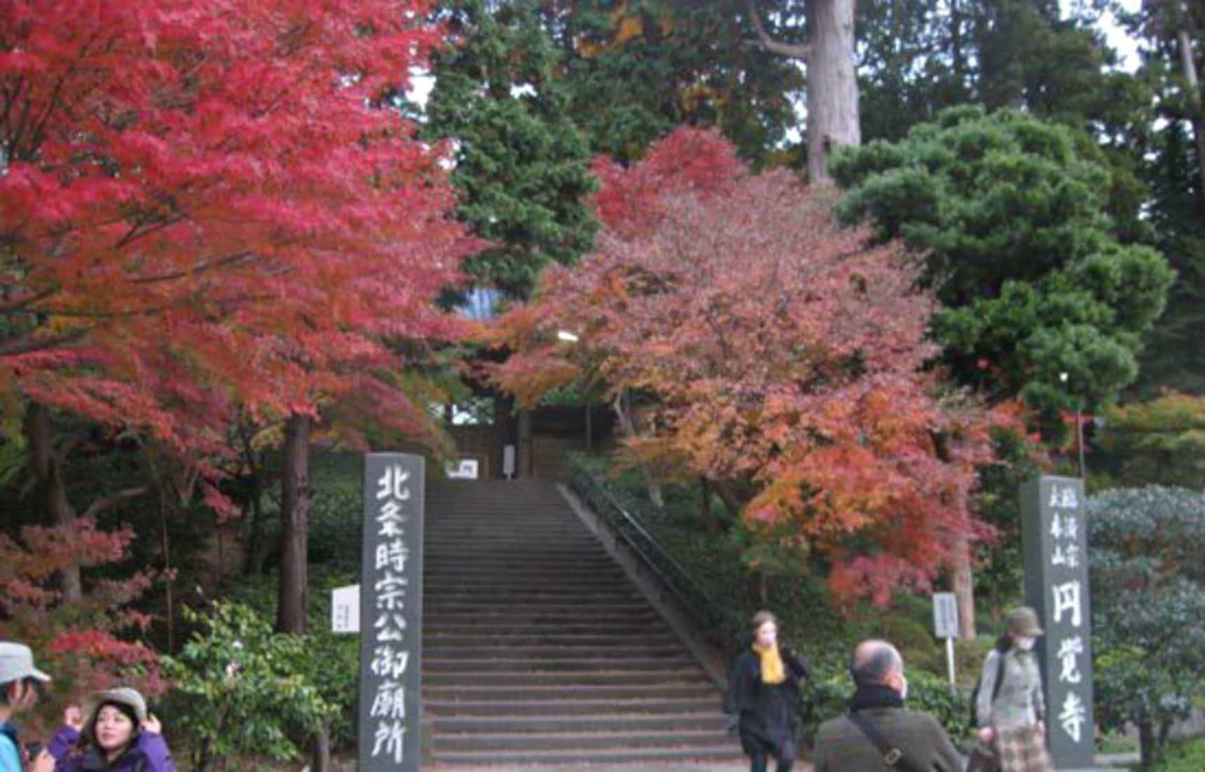 Kamakura Autumn Colors Report | All About Japan