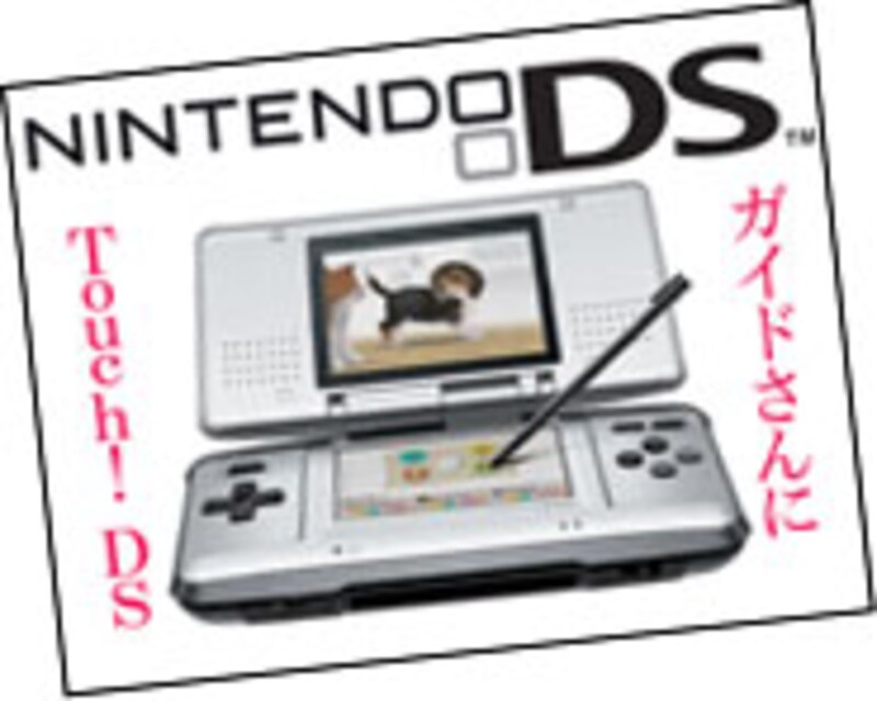 ガイドさん、DSにさわってみて！ [ニンテンドーDS・3DS] All About